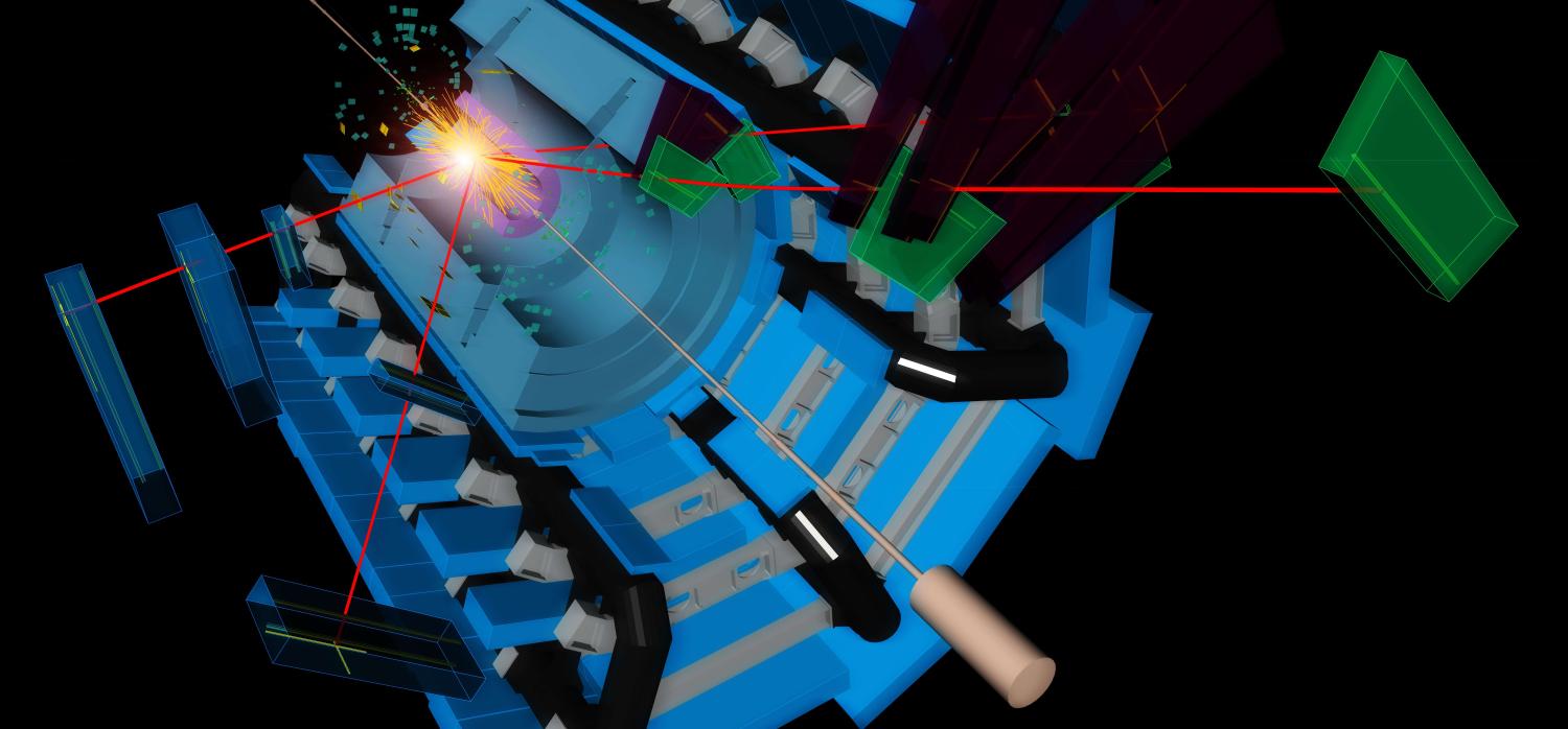 The Higgs boson: a landmark discovery